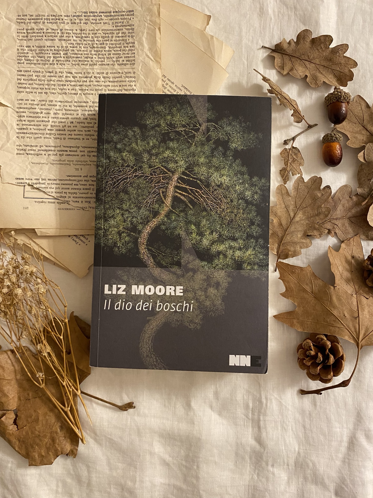 IL DIO DEI BOSCHI di Liz Moore – Libri nell’aria